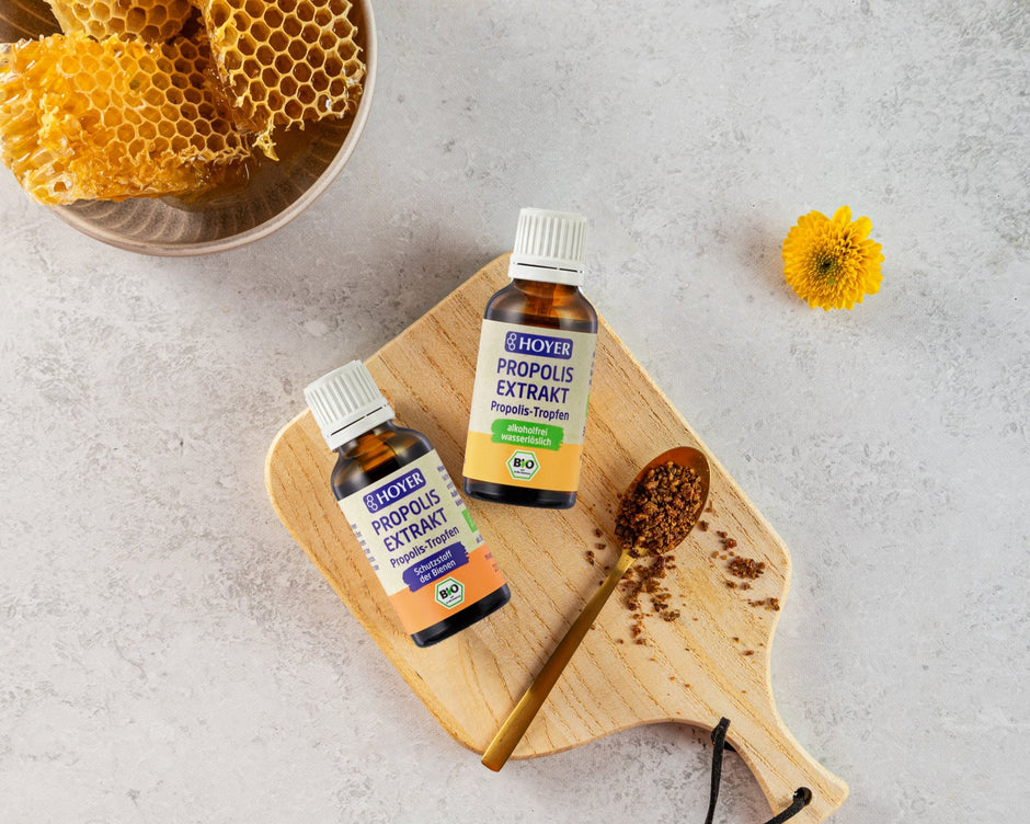 Willkommen bei Hoyer Honig - Mit der Kraft der Natur! – hoyer-honig.de