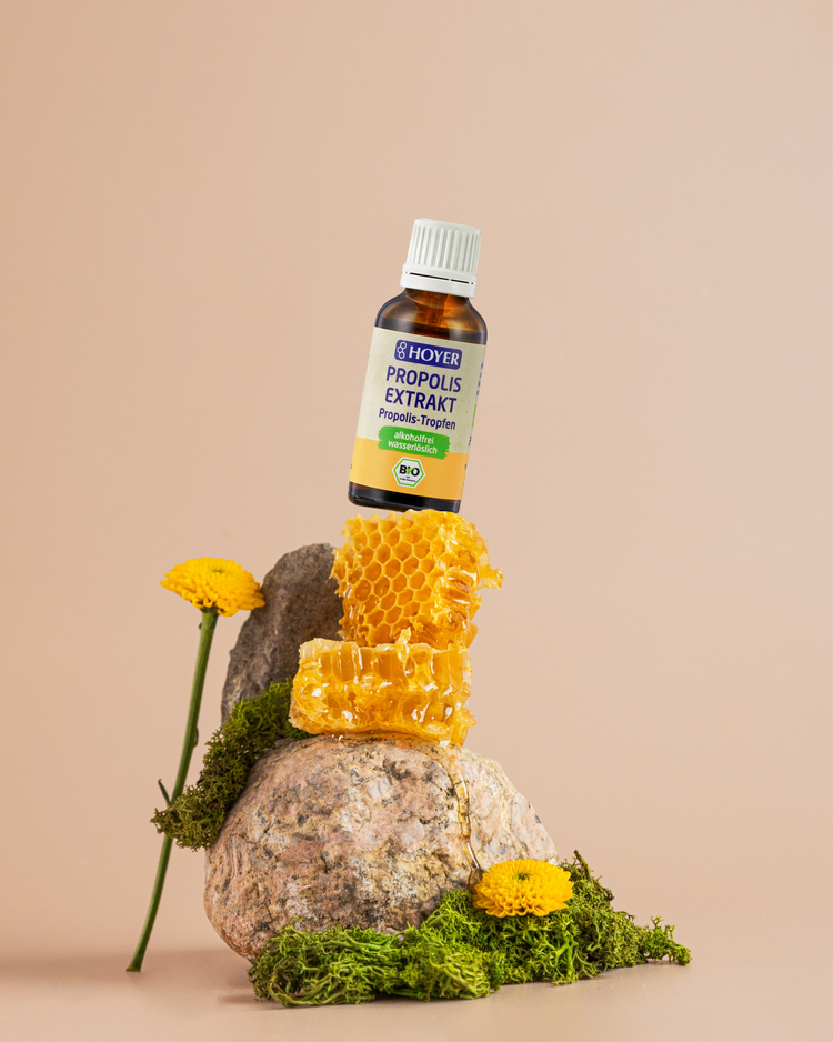 Willkommen bei Hoyer Honig - Mit der Kraft der Natur! – hoyer-honig.de